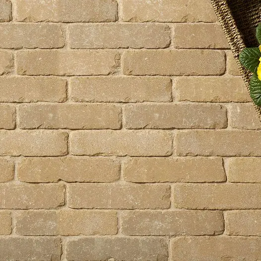 Golden Buff | Clay Pavers